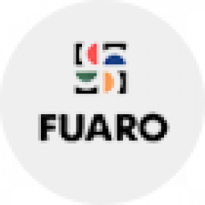 Замки врезные Fuaro купить в СПБ от интернет-магазина: цена | Крепость